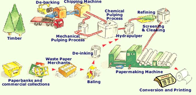 1000 zašto: Kako se pravi papir? - Impuls Portal
