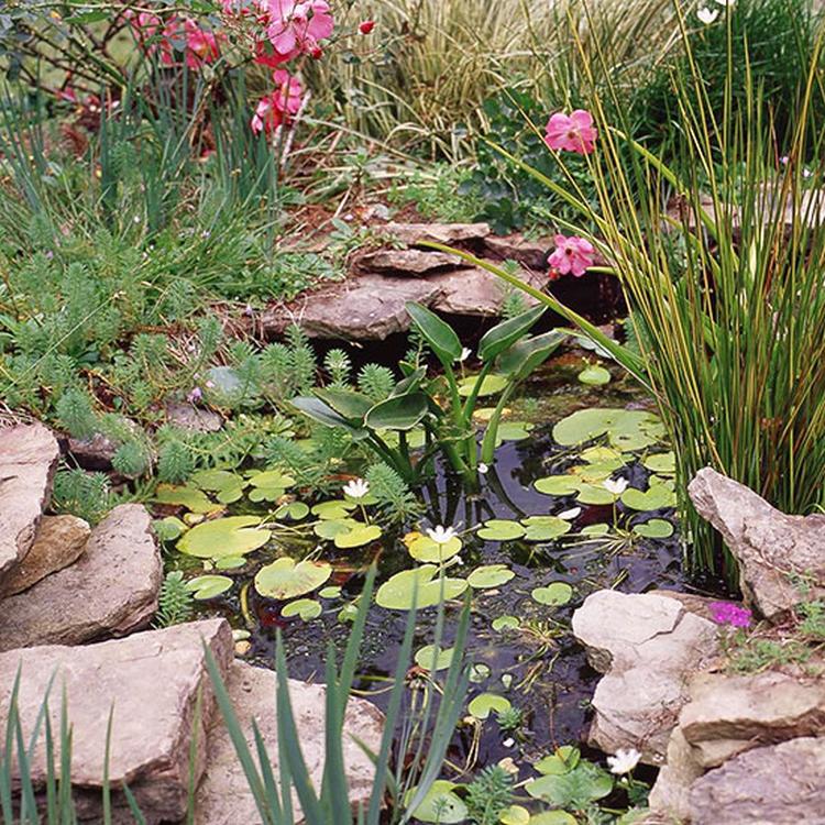 15 kreativnih ideja za uređenje malog dvorišta ili vrta - Impuls Portal